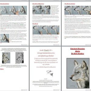 Akela Coloured Pencil Tutorial by Deb Stanley Art - Etsy