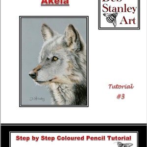 Akela Coloured Pencil Tutorial by Deb Stanley Art - Etsy