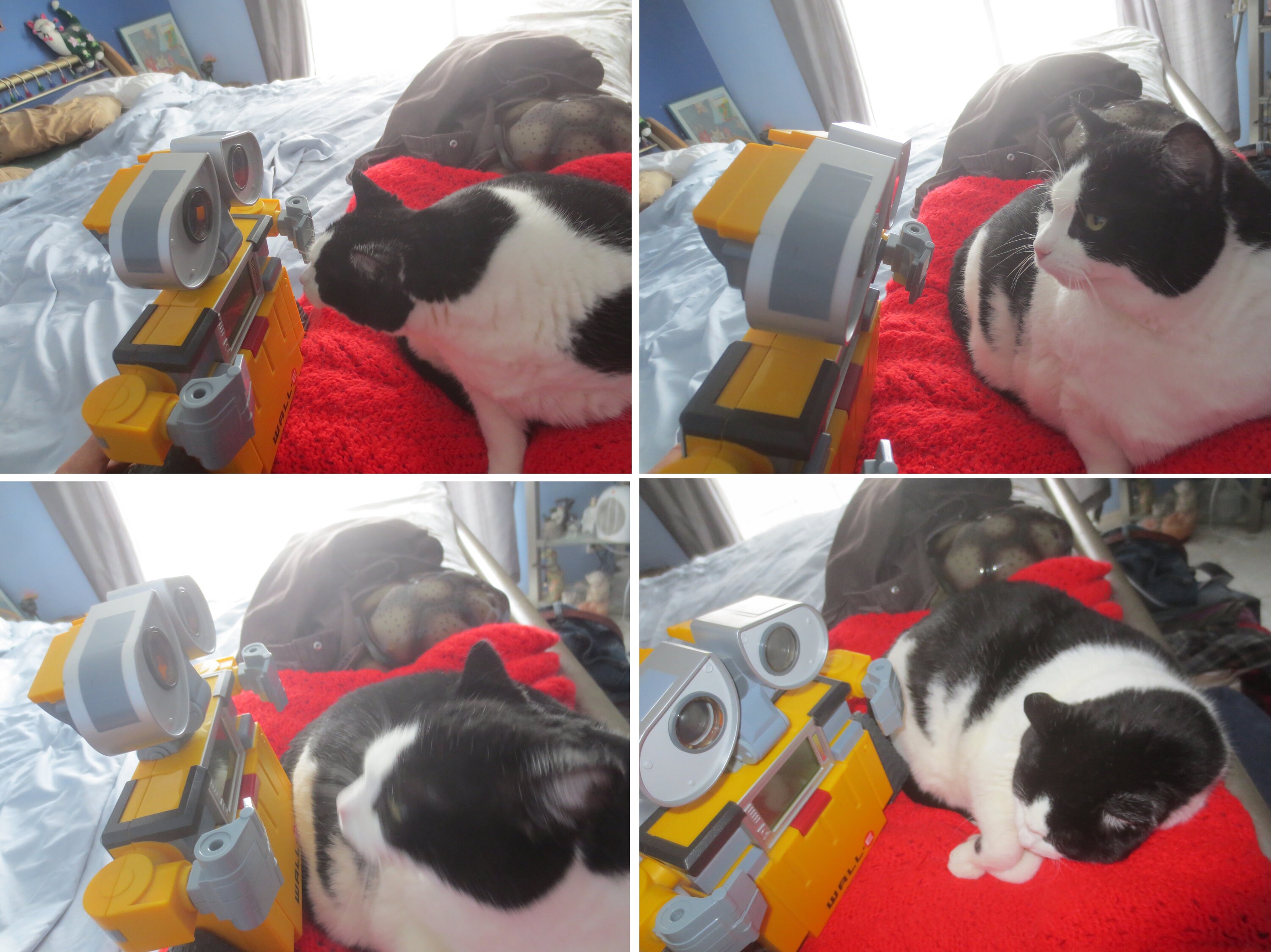 Disney Pixar's Wall-e Learning and Educational Laptop - Etsy Canada