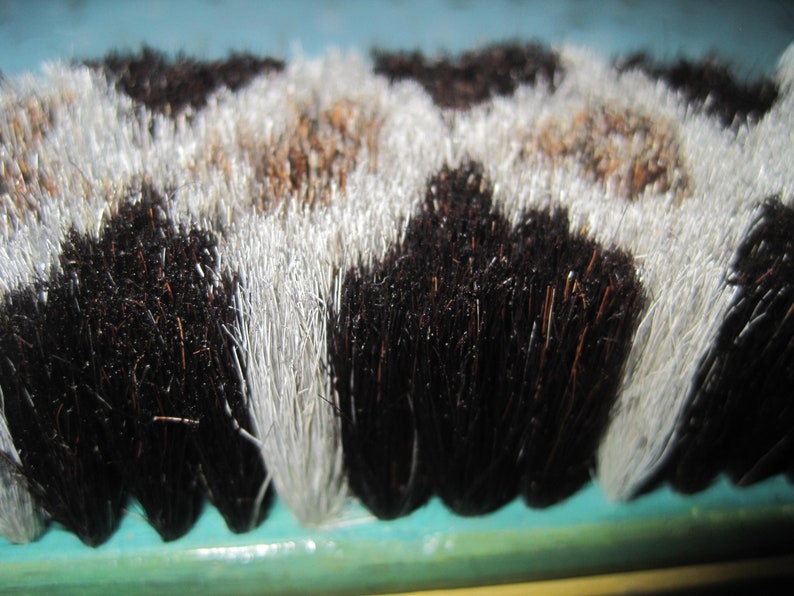 Rare Vintage Mid Century Fine Boar Tri-bristle Garment Brush Shoe Brush ...