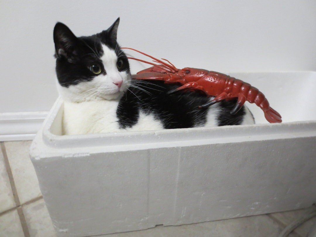 Vintage Hong Kong Plastic Realistic Fun Happy Whimsical Cute Lobster ...