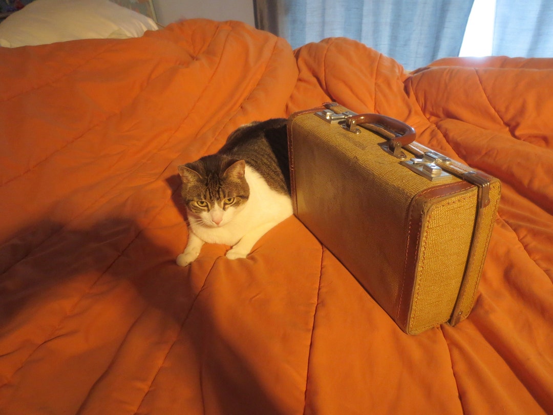 Rare Vintage Small Cute Adorable Personal Overnight Weekender Travel ...