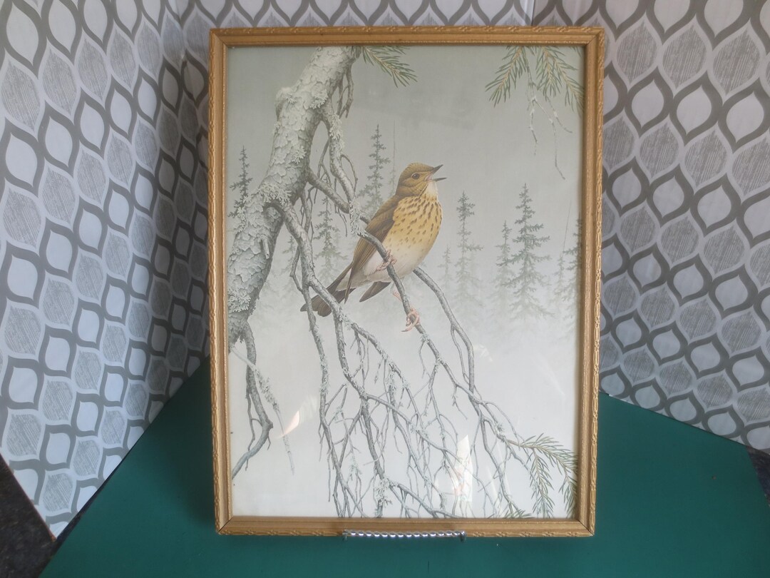 Vintage War Era Thrush Bird Chirping and Singing on a Branch Lithograph ...