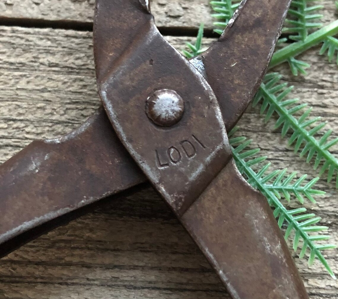 Antique Lodi Leather Punch / Vintage Hole Punch / 1800s Tool | Etsy