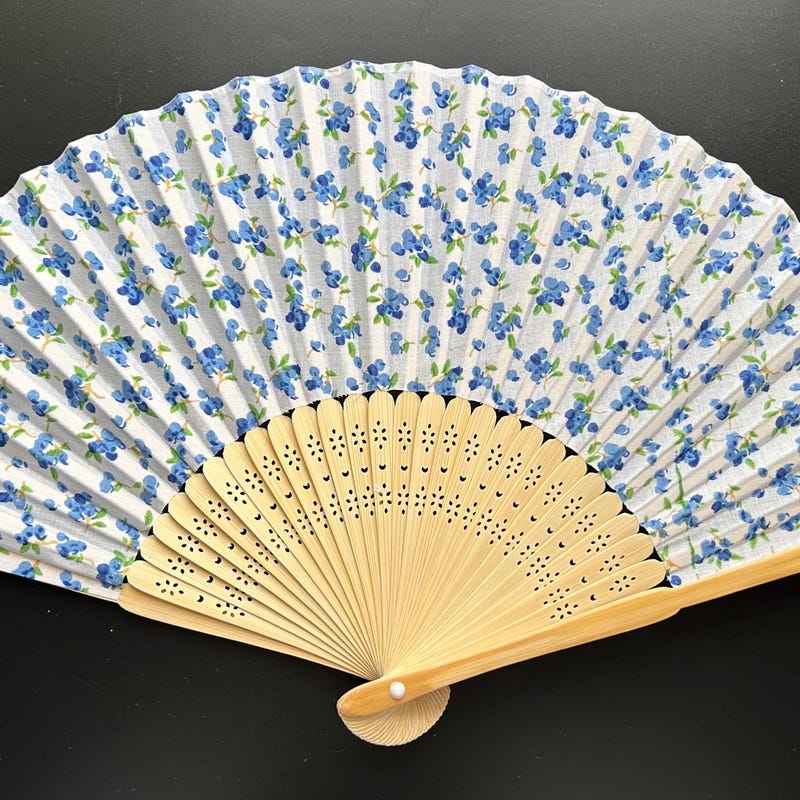Vintage Hand Fan - Etsy