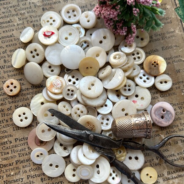 Antique Buttons Shell - Etsy