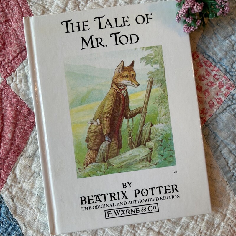 Tale of Mr Tod - Etsy