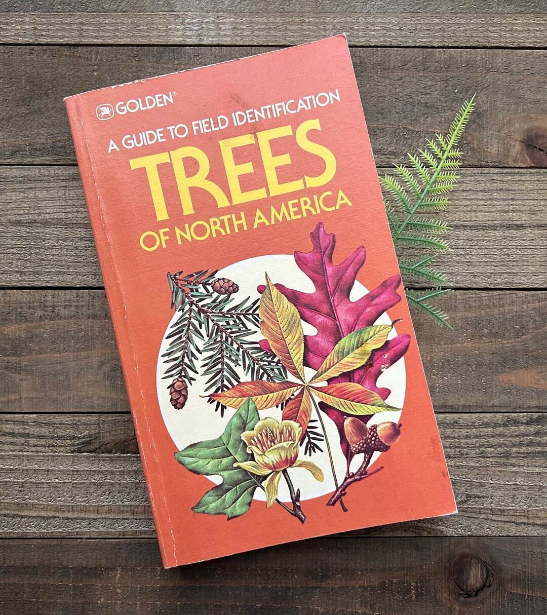 1979 trees A Golden Field Guide of North America Book / Tree ...