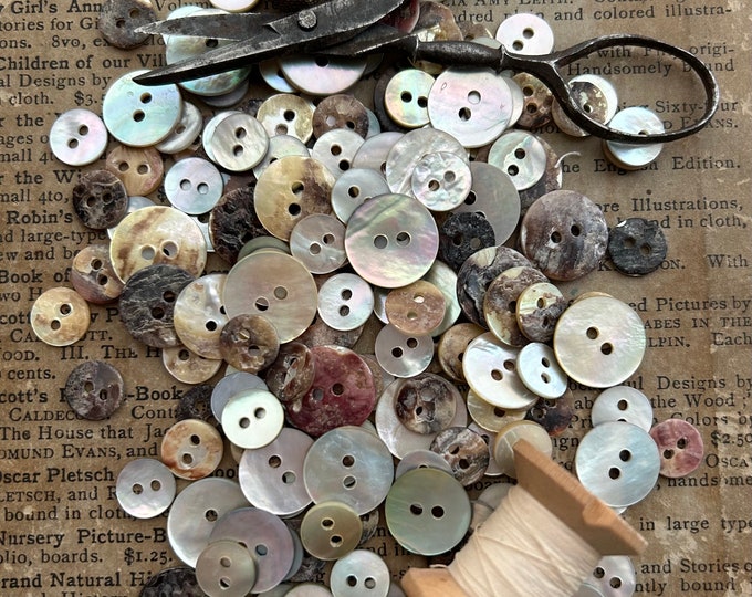 Vintage Abalone Shell Button Bulk Lot / Small Natural Shell Button Lot ...