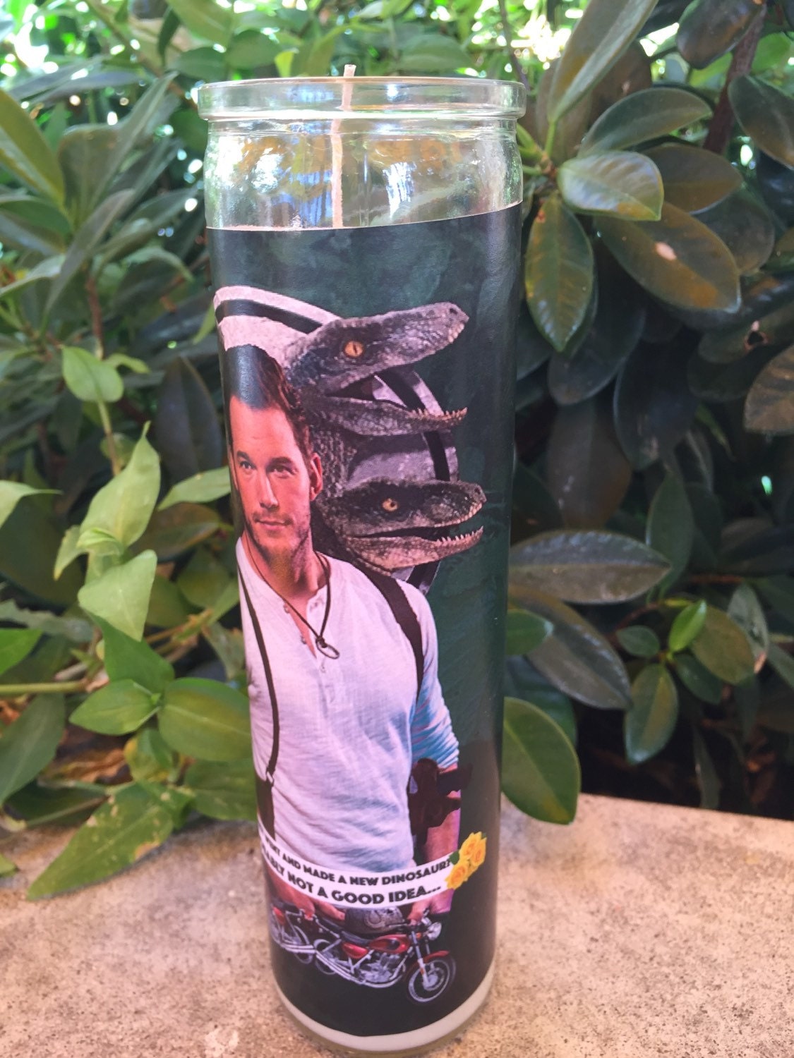 Chris Pratt Prayer Candle Jurassic Prayer Candle Raptor - Etsy