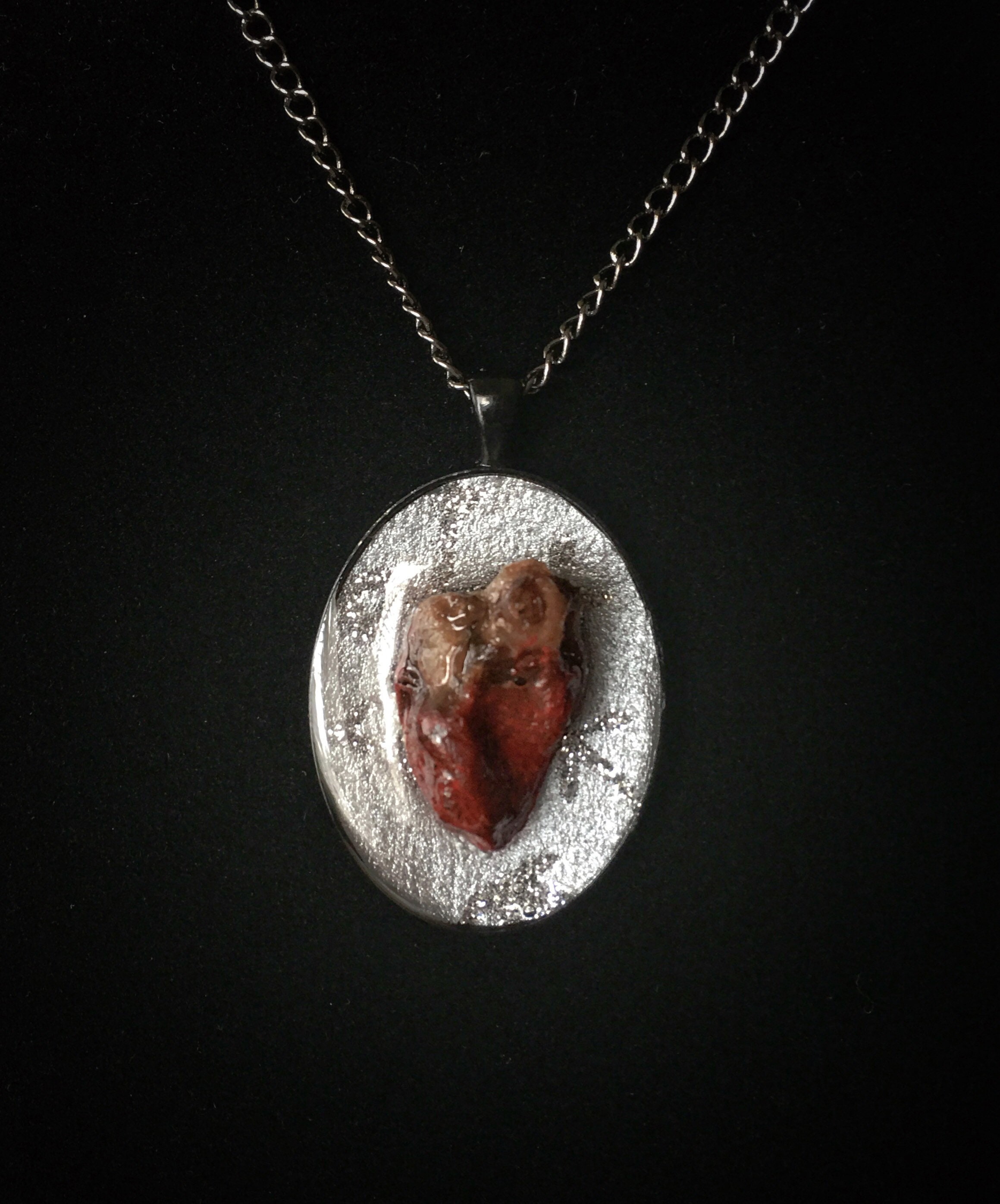 Real Mummified Heart Pendant Silver Sparkle Taxidermy | Etsy