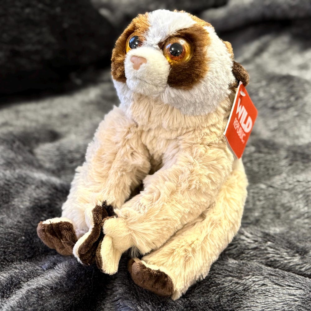 LittleFirefaceShop - Etsy