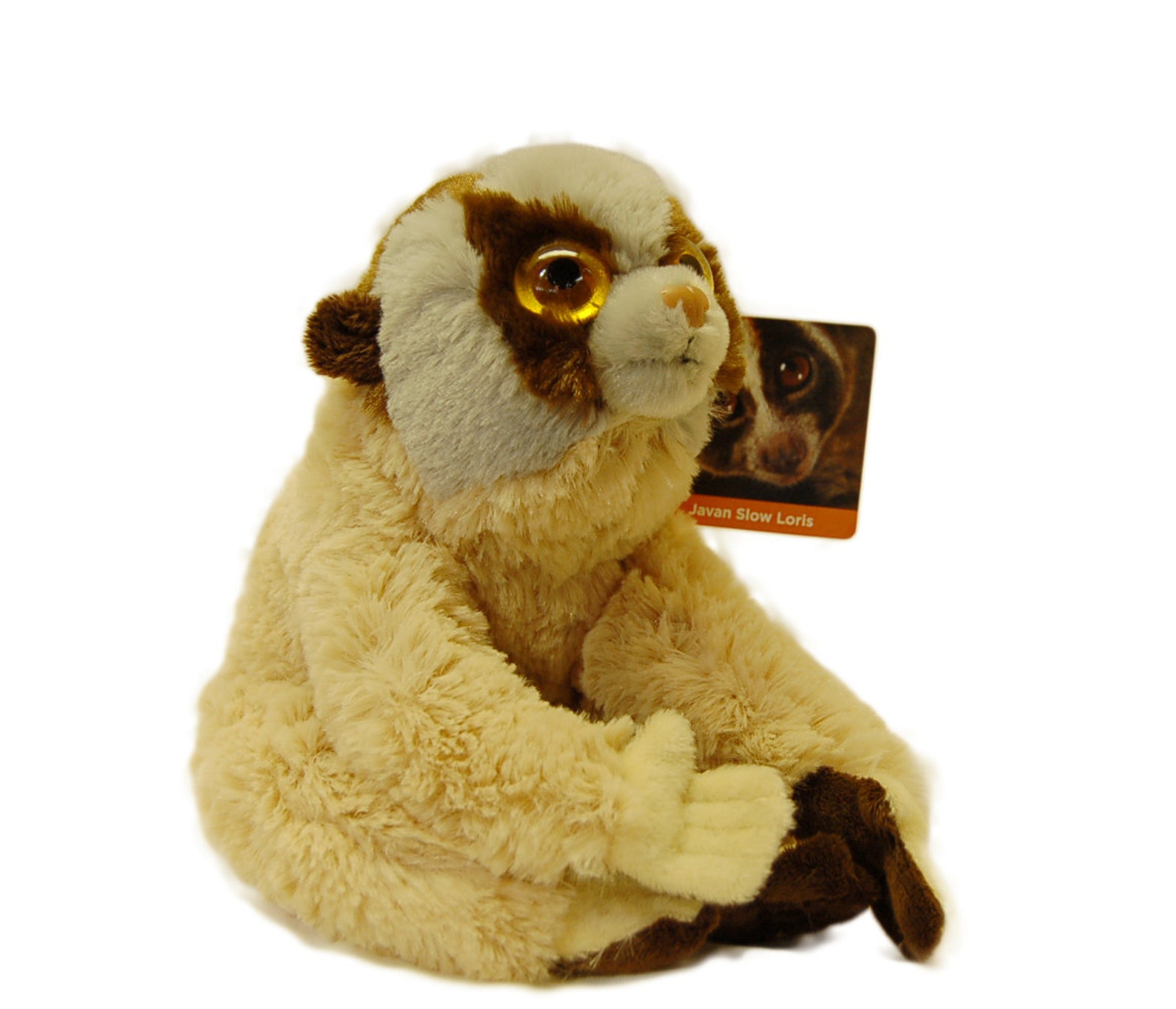 Slow Loris Plush Plushie Cuddly Toy Teddy the Best Way to - Etsy