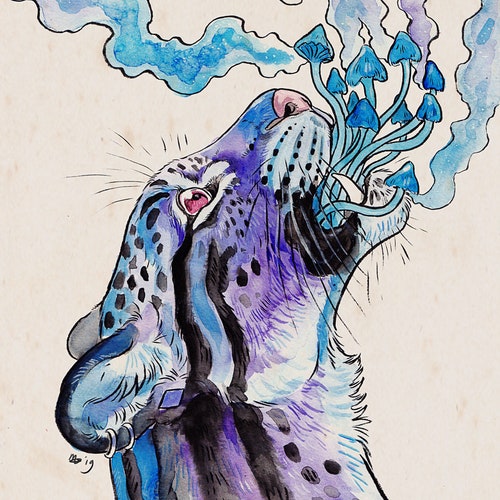 Wrathful Spirit 12x8 Lustre Print - Etsy