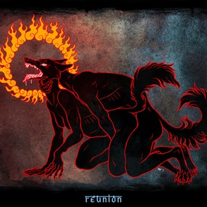 SET Shared Series Satin Photo Print Bundle Wolves Spiritual Shadowwork ...