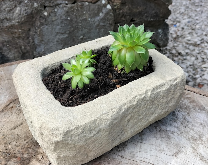 Stone Trough Garden Planter Small Size for Sempervivum Alpine ...