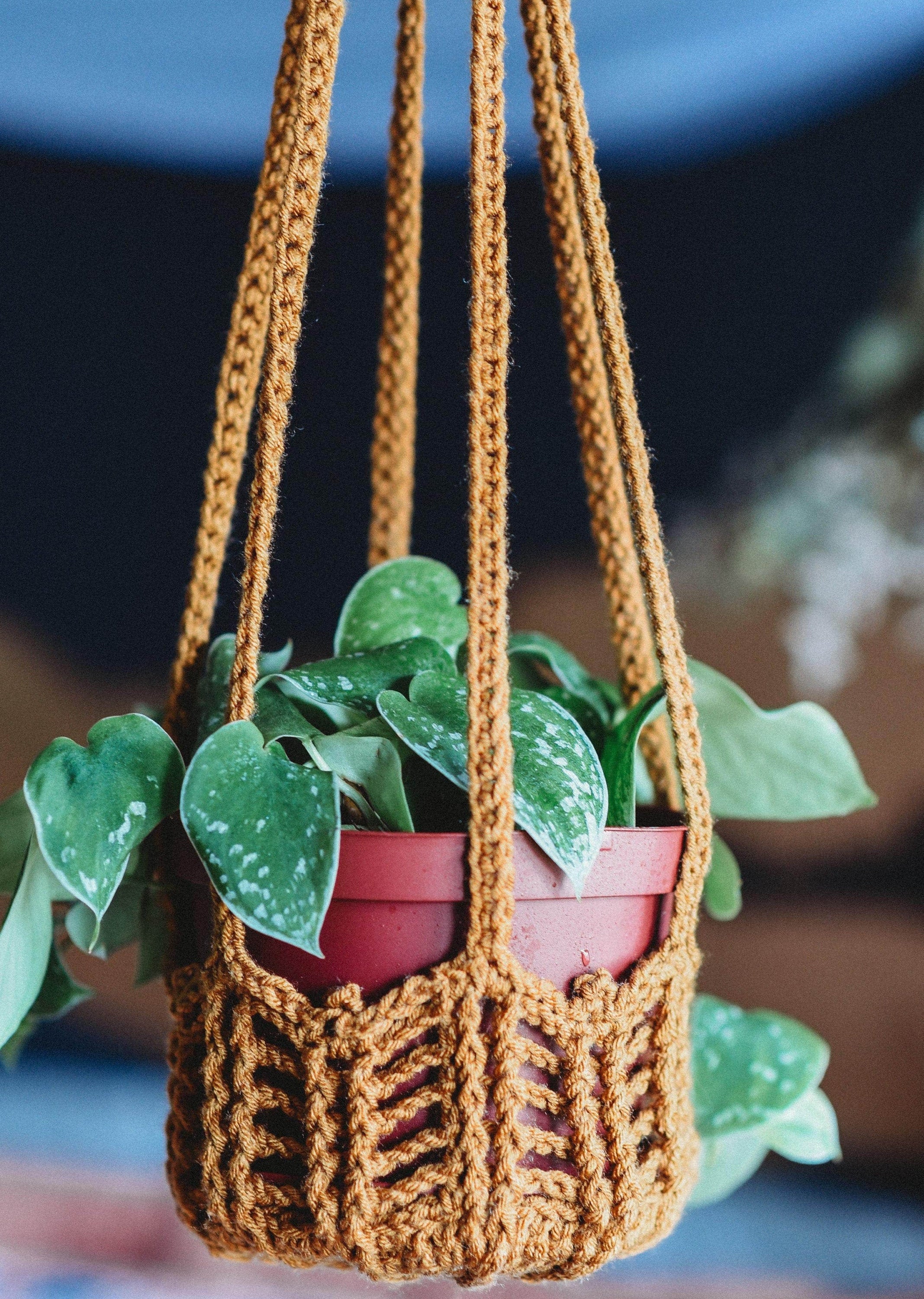 Crochet Planter Holders Hanging Planters Crochet Home Decor Crochet Planter Holders Hanging Planters Crochet Home Decor