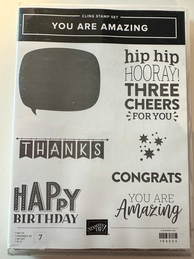 Stampin up you Are Amazing Stamp Set - Etsy