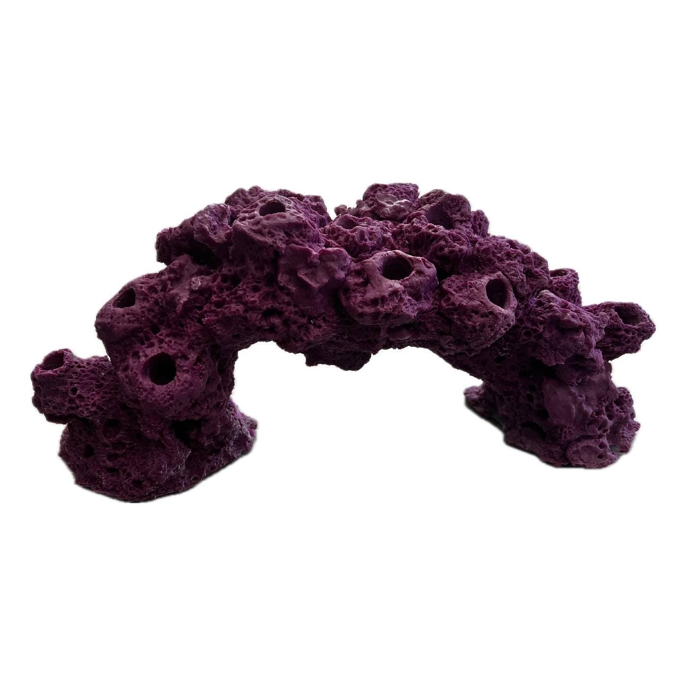 Frag Rock for Live Coral 16 Hole Frag Arch: Sandbed Aquarium Plug Rack ...