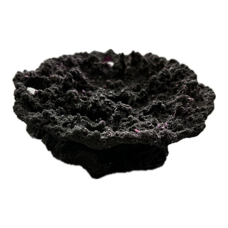 SANDBED 5 Hole Acropora Coral Plate Frag Rack/rock for Live Coral Plug ...