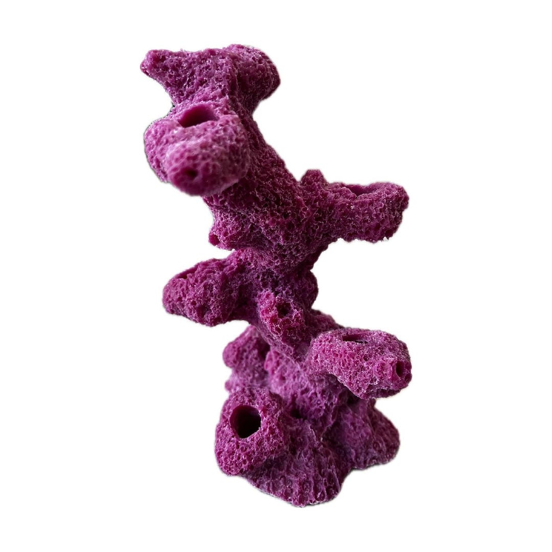 10 Hole Coral Frag Plug Rack: Sandbed Torch Tower Rock - Etsy