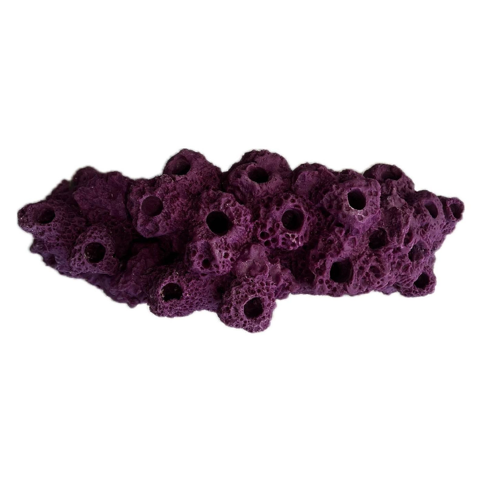 Frag Rock for Live Coral 16 Hole Frag Arch: Sandbed Aquarium Plug Rack ...