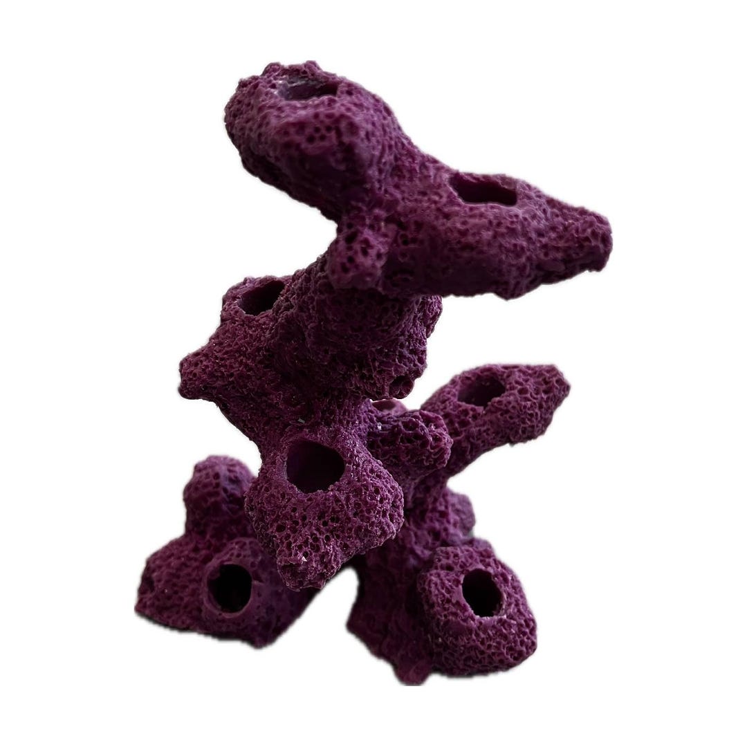 10 Hole Coral Frag Plug Rack: Sandbed Torch Tower Rock - Etsy