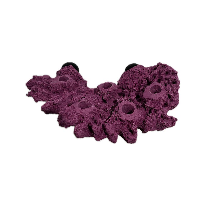 Rock Frag Magnetic - Etsy