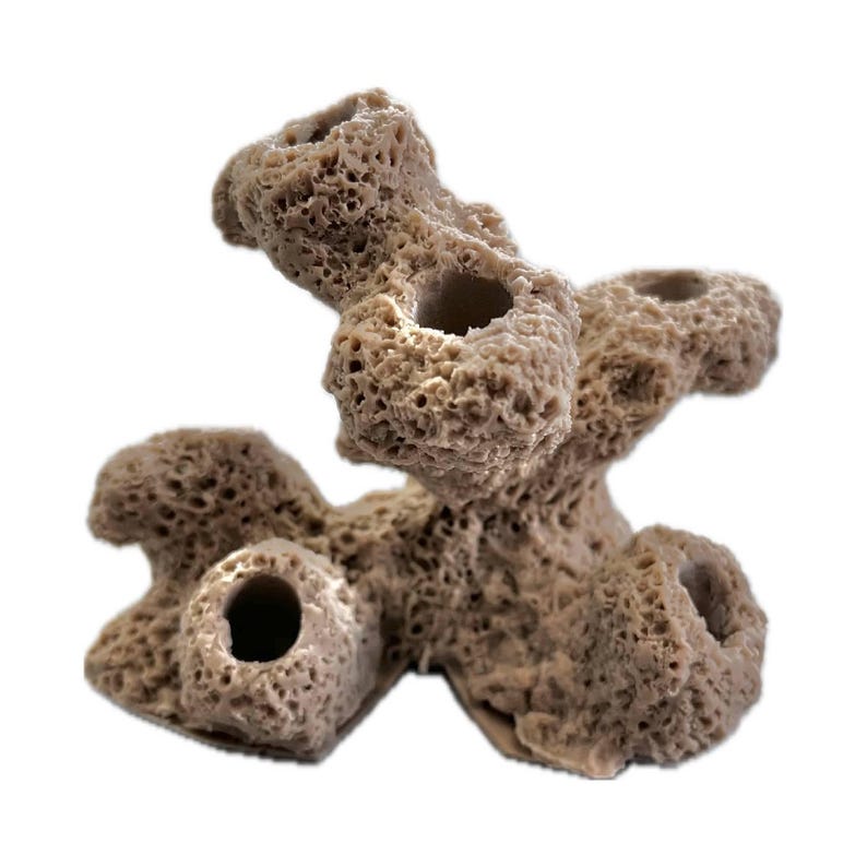 Frag Rock for Live Coral/frag Rack: 7-hole Reef Towering Sandbed Base ...