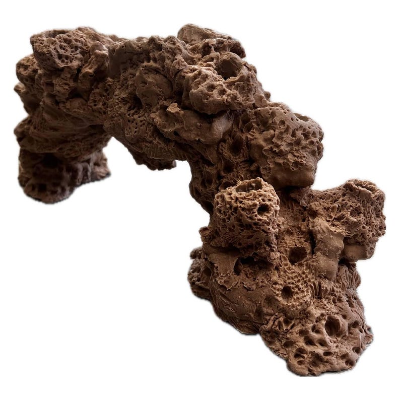 Frag Rock for Live Coral 16 Hole Frag Arch: Sandbed Aquarium Plug Rack ...