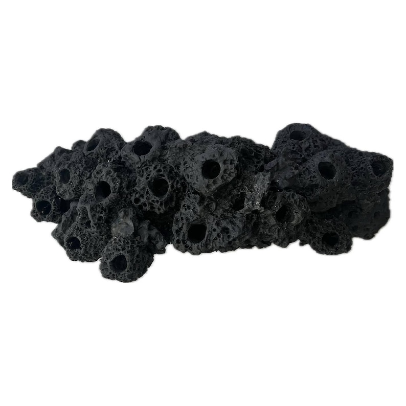 Frag Rock for Live Coral 16 Hole Frag Arch: Sandbed Aquarium Plug Rack ...