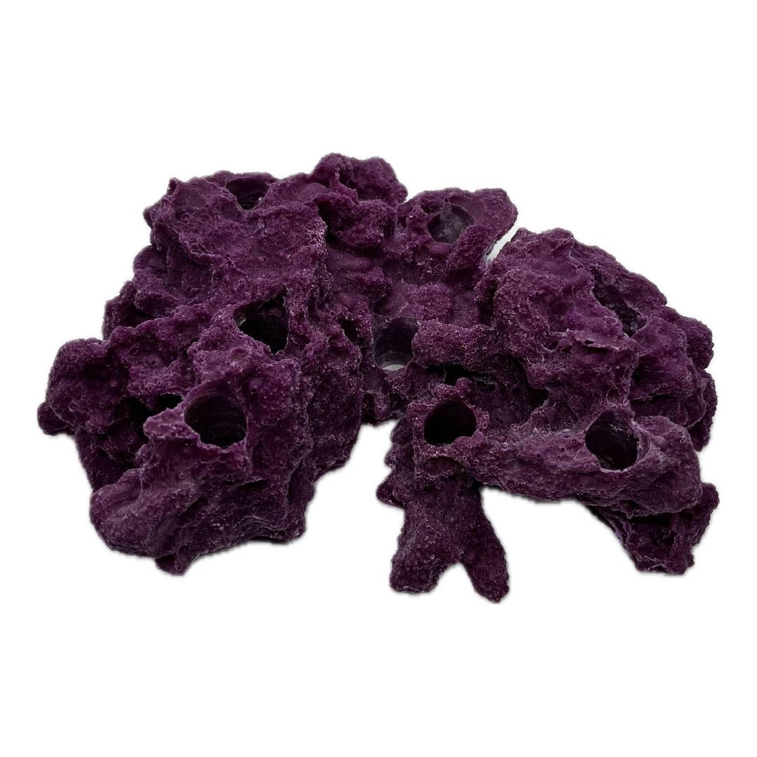 8 Hole Sandbed Frag Rack/rock Base for Live Coral Plug Ons - Etsy