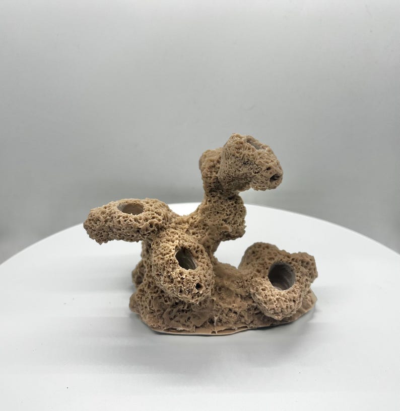 Frag Rock for Live Coral/frag Rack: 7-hole Reef Towering Sandbed Base ...
