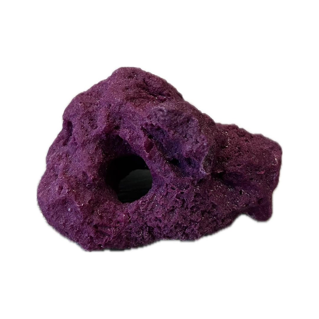 Mini 1 Hole Frag Rock Sandbed Pack for Live Coral Plug Ons - Etsy