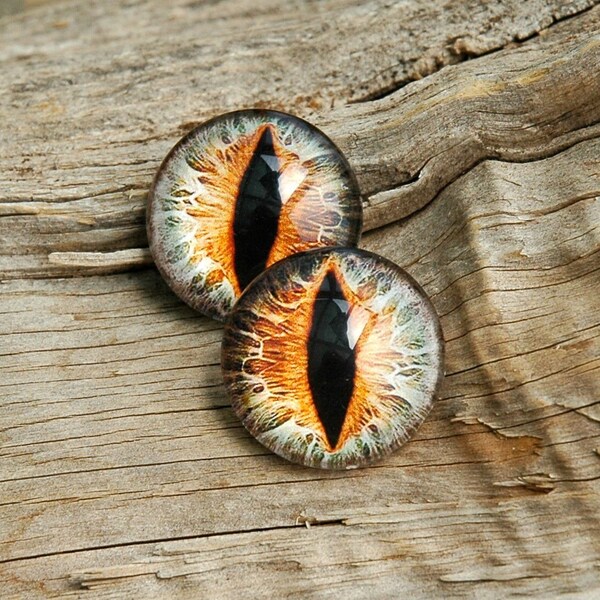 Reptile Eye - Etsy