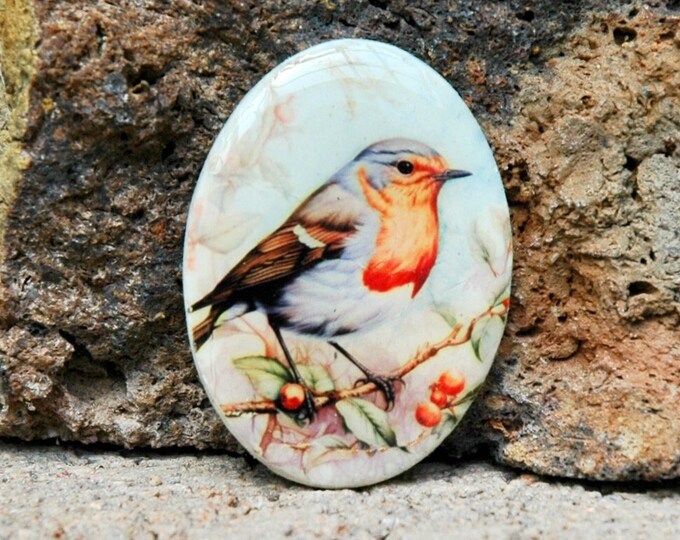 Red Breast Robin Polymer Clay and Resin Image Transfer Cabochon ...