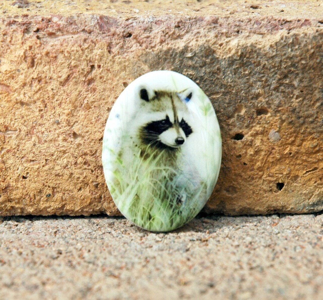 Raccoon Polymer Clay and Resin Image Transfer Cabochon - Etsy