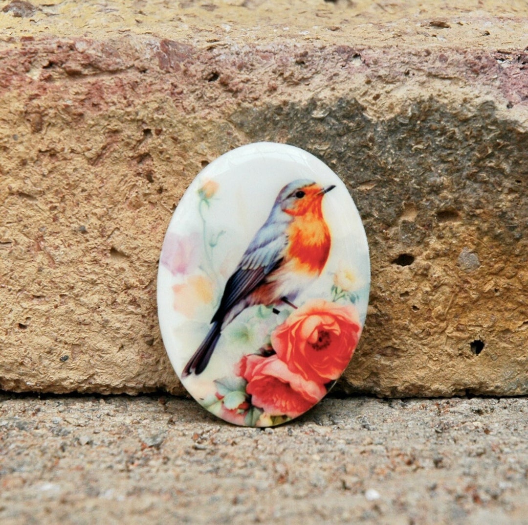 Red Breast Robin Polymer Clay and Resin Image Transfer Cabochon ...