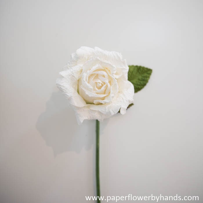 White PAPER ROSE set of 12 Paper flowers Home and Wedding | Etsy