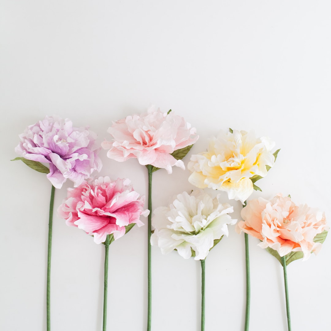 Set of 6 Stems of PEONY BLOOM, 16 Inches Stem, Apricot Paper Peony ...