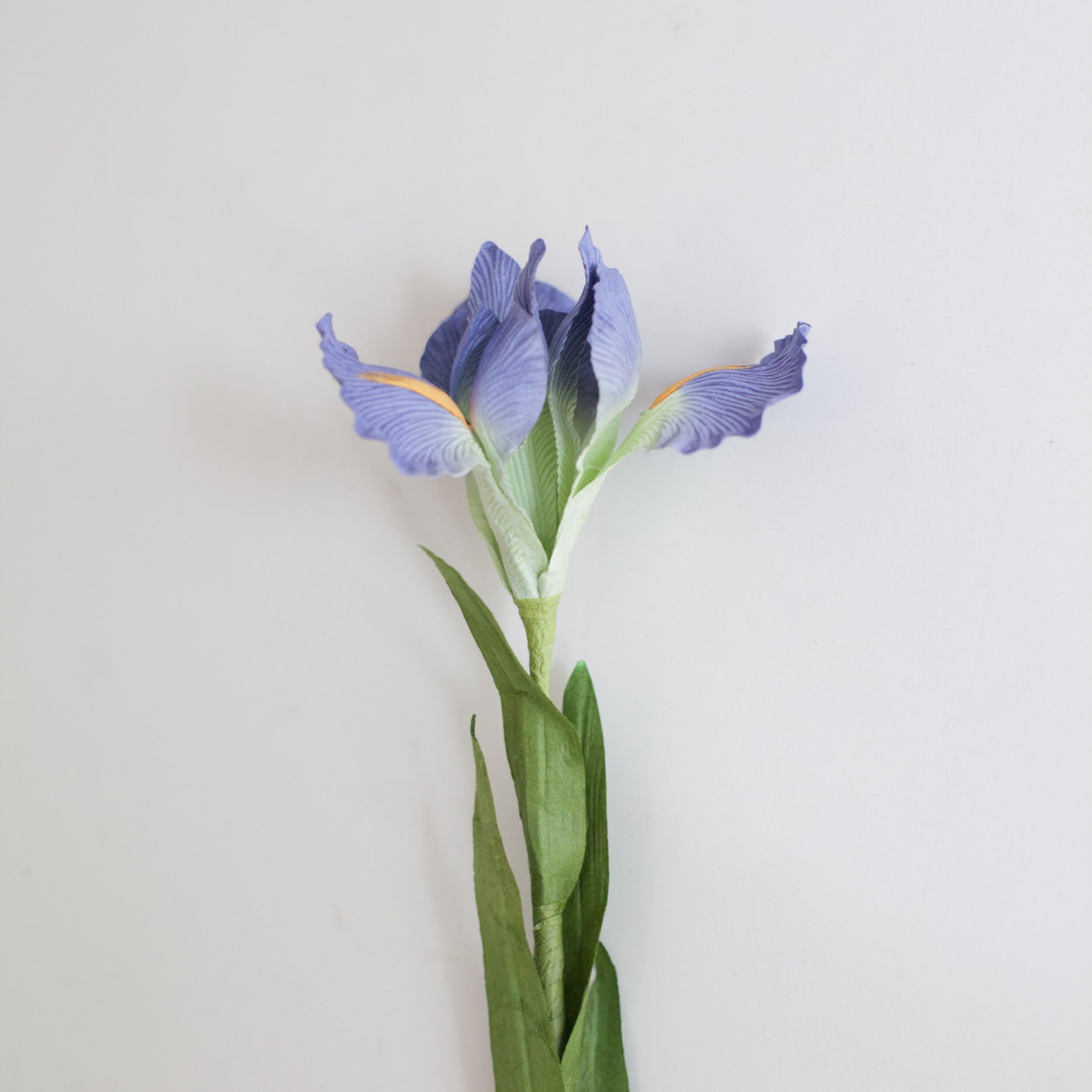 Set of 12 Stems of Iris, 24 Inches Stem, Paper Iris , Wholesale Paper ...