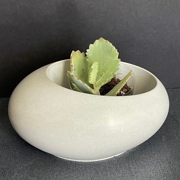 Rock Planter - Etsy