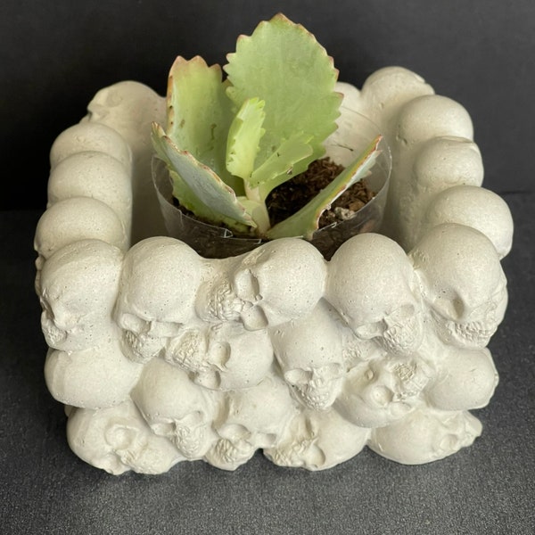 Skull Planter - Etsy