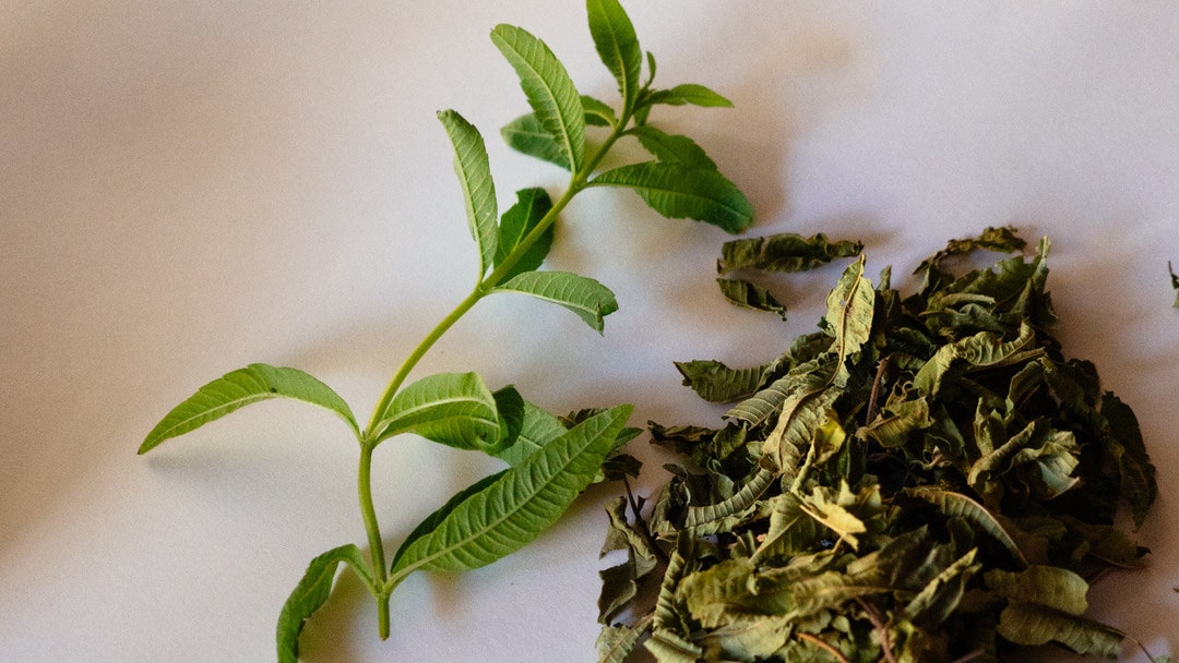 Greek Lemon Verbena - Handpicked 15g - Etsy