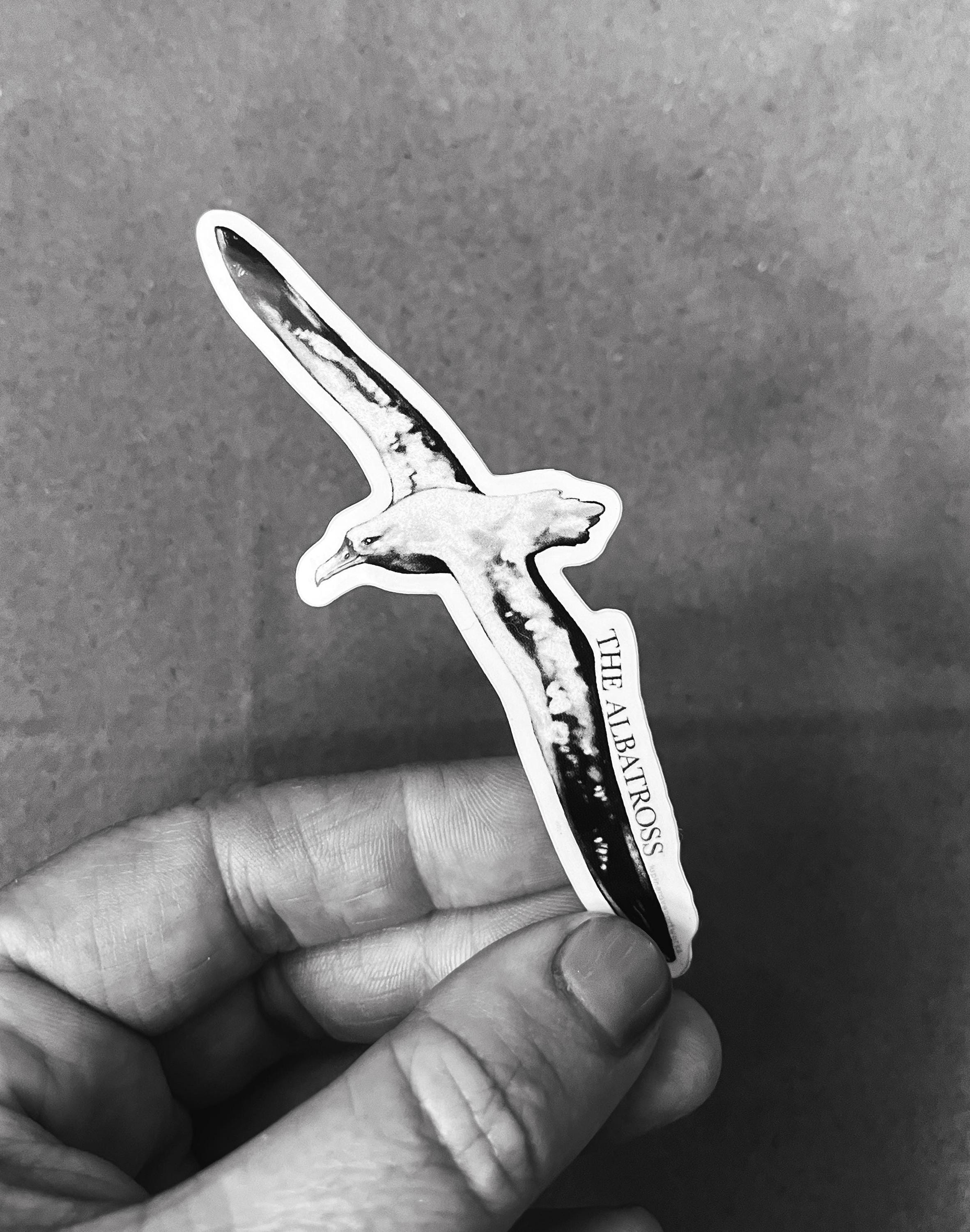 TTPD Sticker Set, TTPD Vinyl Sticker Set, the Tortured Poets Department ...