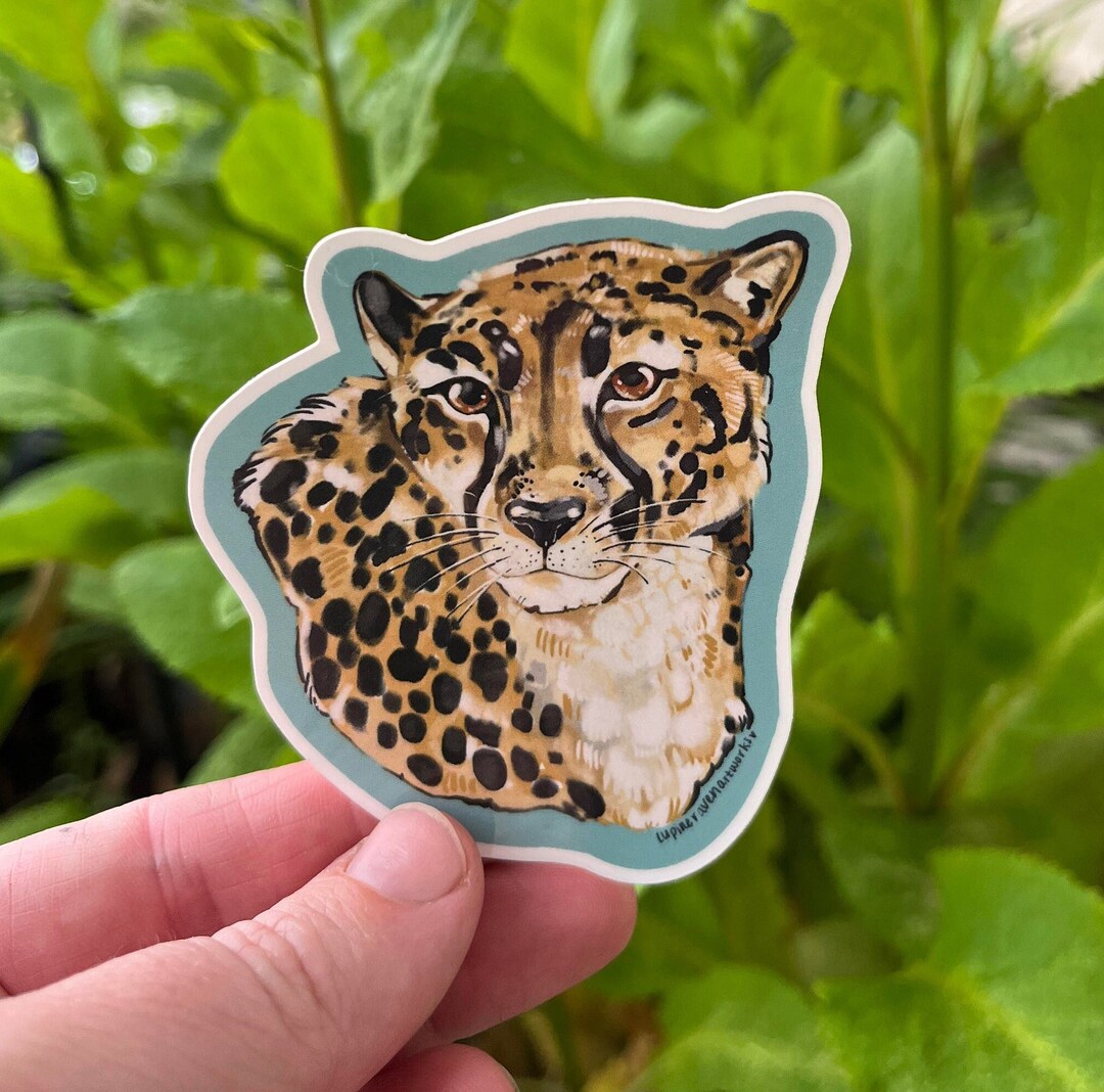 Cheetah Vinyl Sticker, Cheetah Sticker, Cheetah Art - Etsy