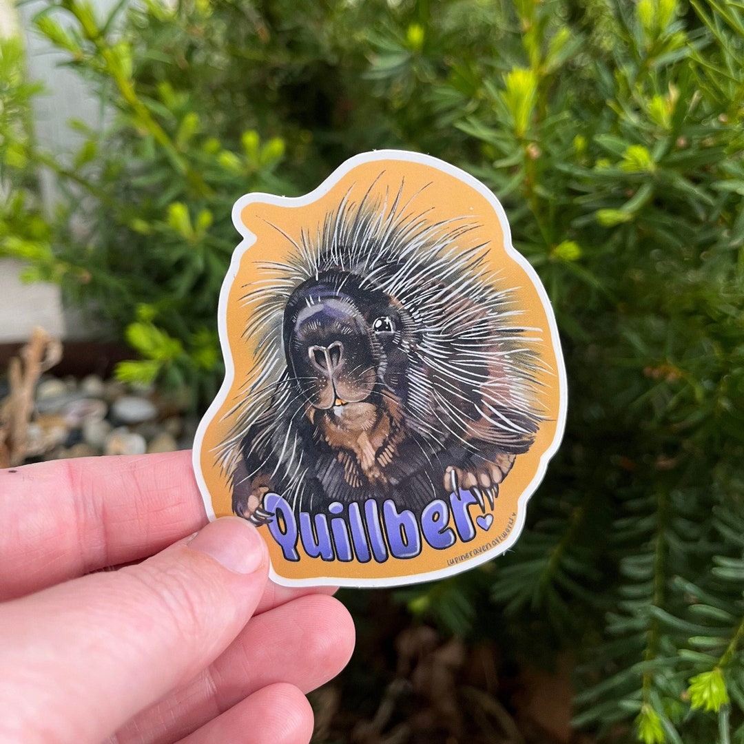 Quillber the Porcupine Vinyl Sticker, Original Artwork - Etsy