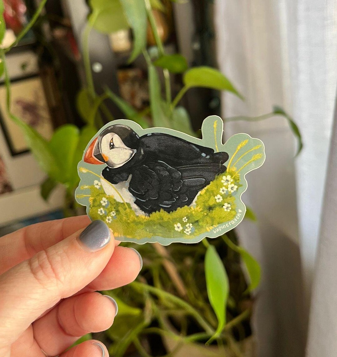 Atlantic Puffin Vinyl Sticker, Puffin Sticker, Puffin Art - Etsy