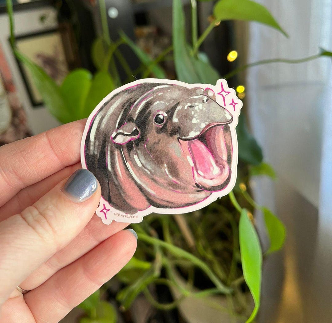 Moo Deng Vinyl Sticker, Cute Moo Deng Sticker, Moo Deng Art - Etsy