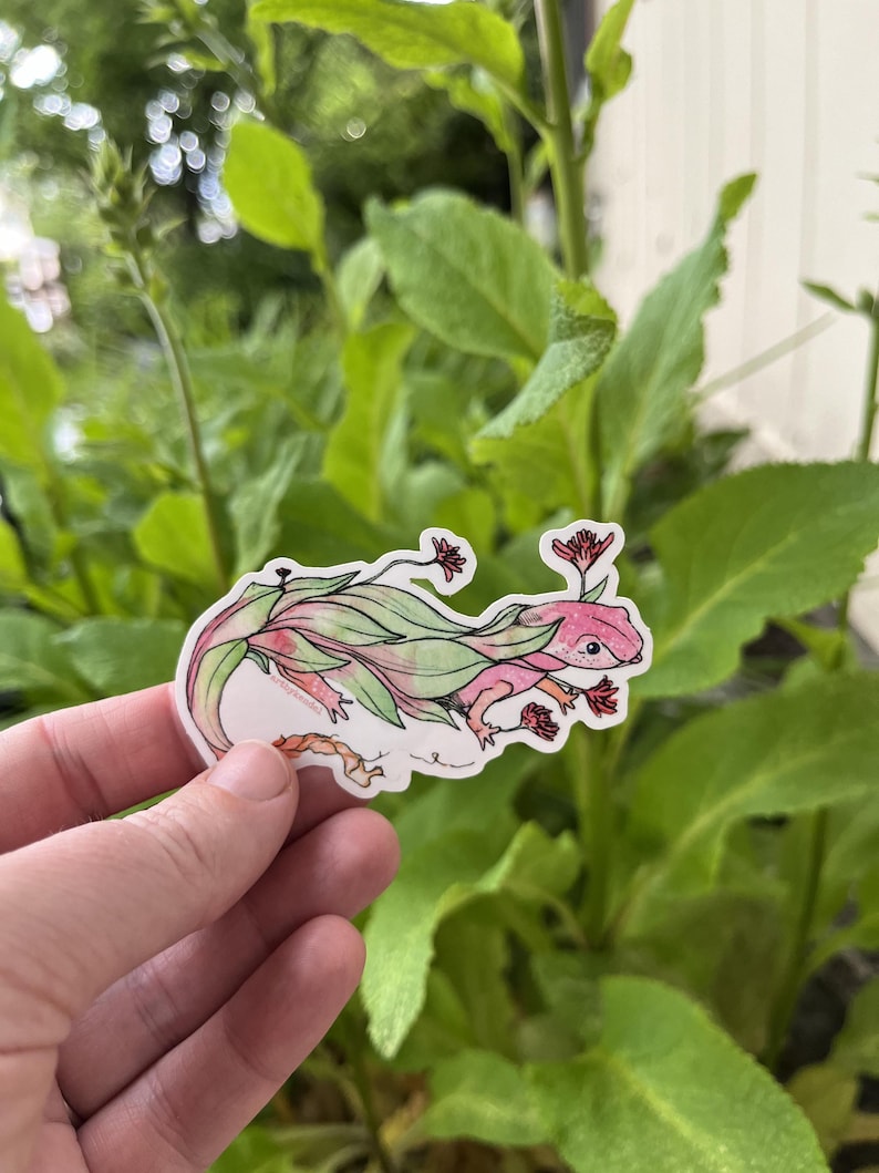 Salamander and Flowers Vinyl Sticker, Original Artwork - Etsy